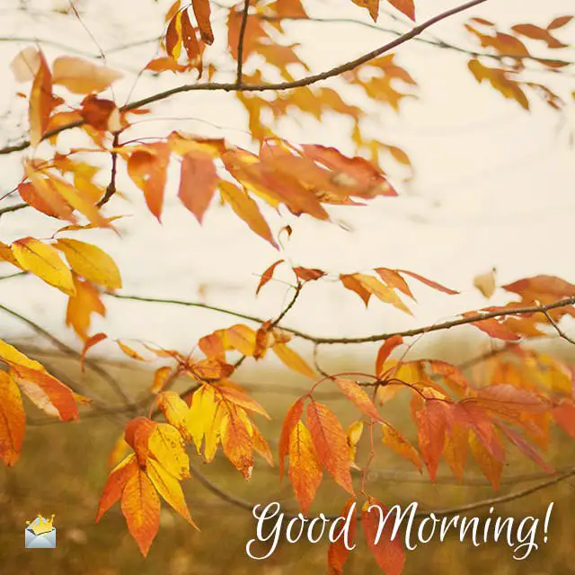 20 Beautiful Good Morning Images to Inspire a Better Day