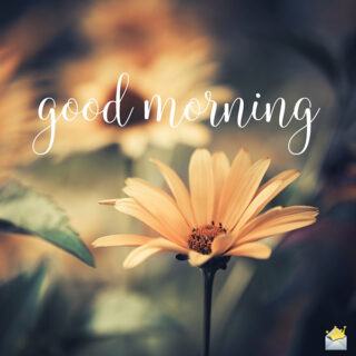 The Best Good Morning Images to| Inspire a Better Day