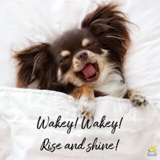 The Best Good Morning Images to| Inspire a Better Day