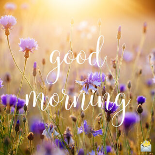 The Best Good Morning Images to| Inspire a Better Day