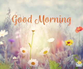 The Best Good Morning Images to| Inspire a Better Day