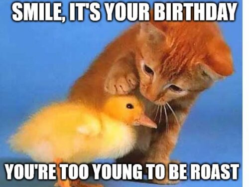 50 Hilarious Happy Birthday Memes to Give Them a Laugh