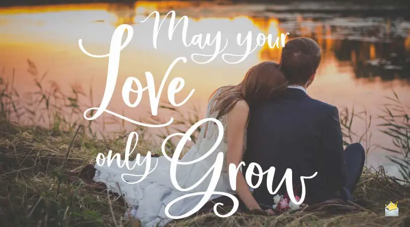 90 Unique Wedding Quotes for your Friends | A Special Day!