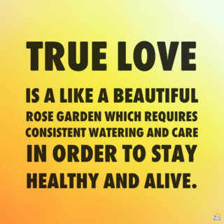 44 Inspiring Quotes about Finding Love