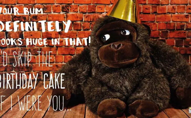 Sarcastic, Naughty, and Borderline Insulting Birthday Wishes