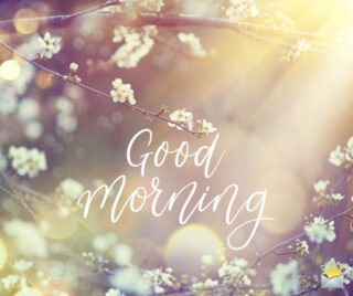 50+ Good Morning Pics That Will Make Your Day