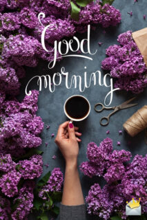 50+ Good Morning Pics That Will Make Your Day