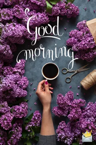 50+ Good Morning Pics That Will Make Your Day