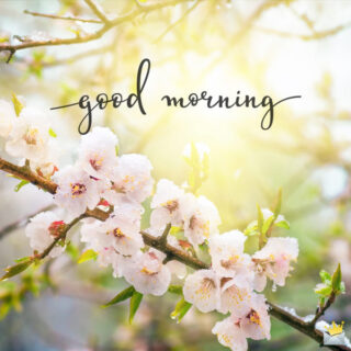 The Best Good Morning Pictures Ever | On the Sunny Side!