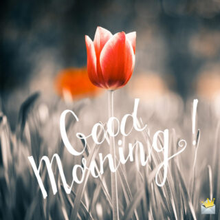 The Best Good Morning Pictures Ever | On the Sunny Side!