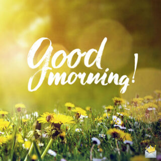 The Best Good Morning Pictures Ever | On the Sunny Side!