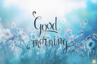 The Best Good Morning Pictures Ever | On the Sunny Side!