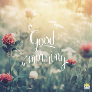 The Best Good Morning Pictures Ever | On the Sunny Side!