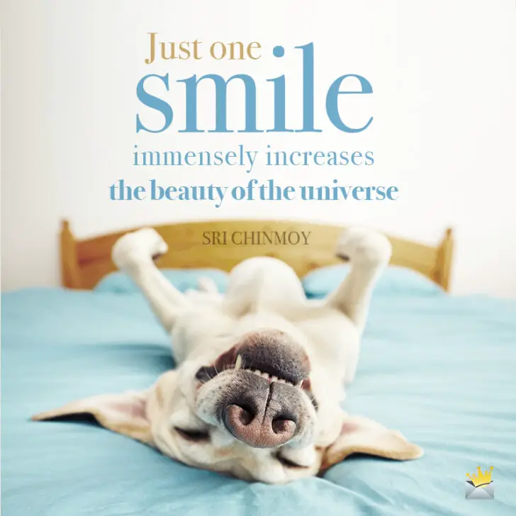 148 Smile Quotes | A Result or a Source of Joy?