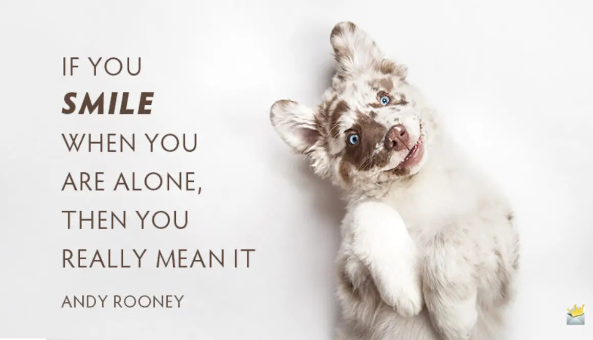 You Can Always Make Me Smile Quotes