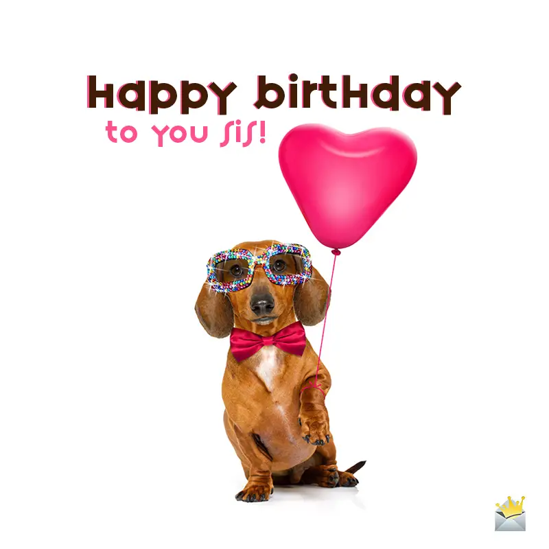 Happy Birthday Sister 200 Birthday Wishes For Your Sis Happy Birthday Sister 200 Birthday Wishes For Your Sis