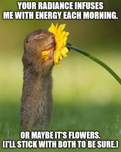 Good Morning, My Love! | A New Day Dawning