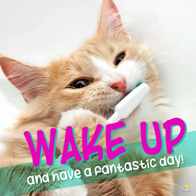 99 Funny Ways to Say Good Morning