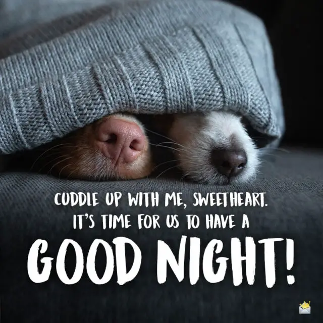 Good Night Quotes | Sweet Dreams of Serenity