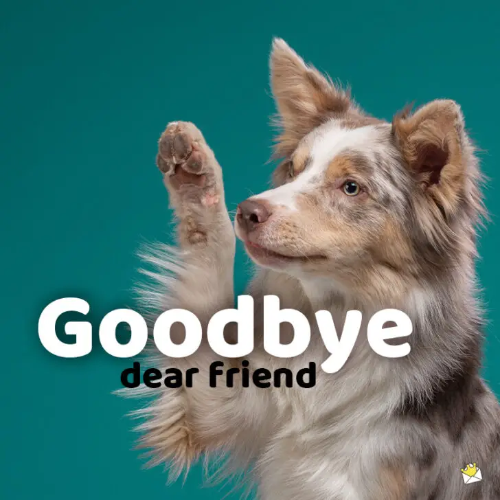 30+ Farewell Messages to Friends | Goodbye, Buddy!