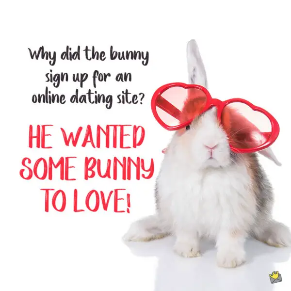25+ Bunny Puns About Fluffy Happy Hoppers