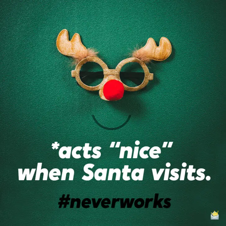 Best 50+ Funny Christmas Quotes for All Things Xmas